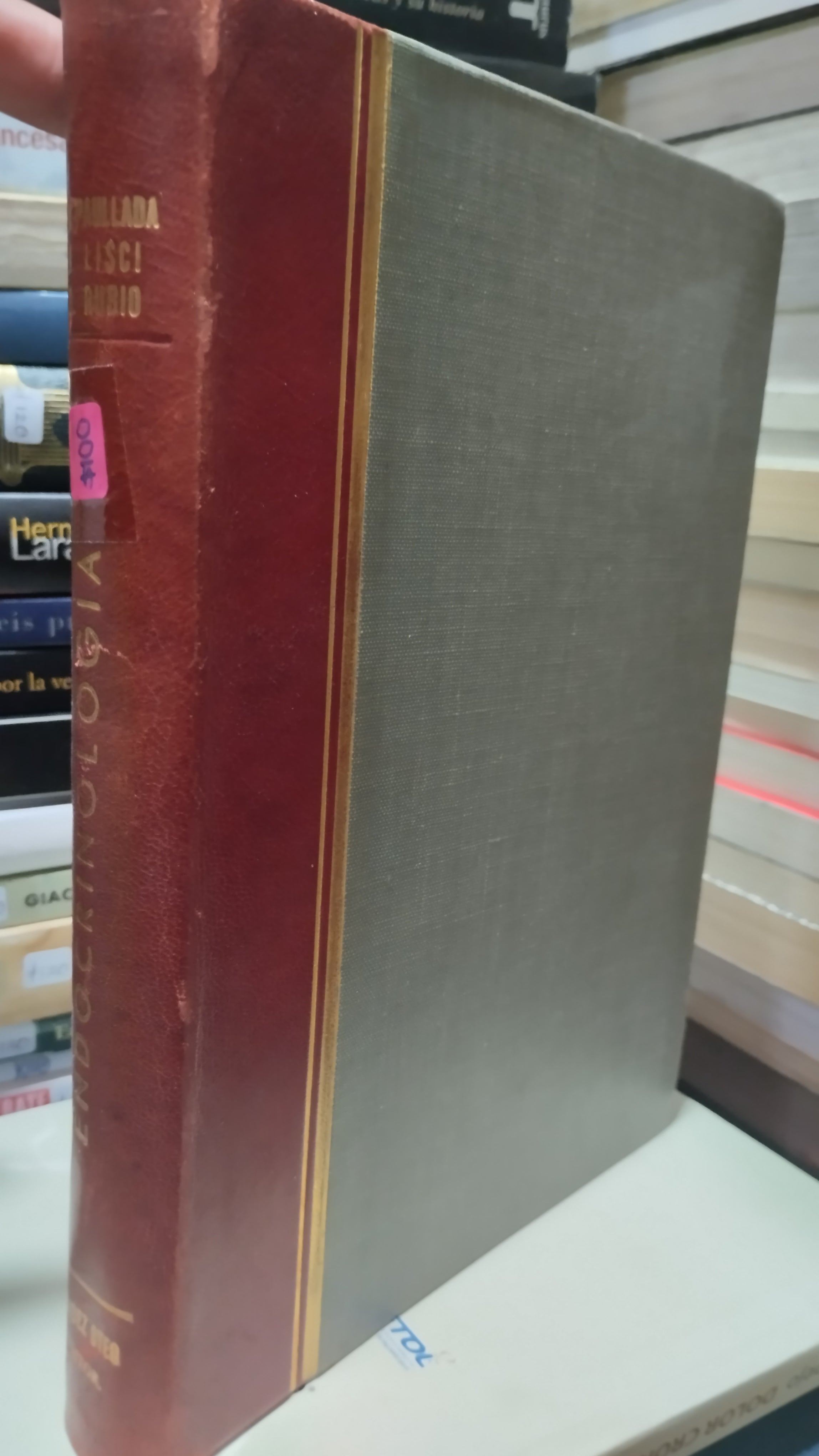 ENDOCRINOLOGIA POR JUAN JOSE PAULLADA LIBRO USADO SALUD ALDAMA – Bazar ...